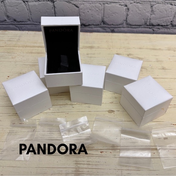 Pandora | Jewelry | Pandora Charm Gift Boxes With Clear Bags Empty ...